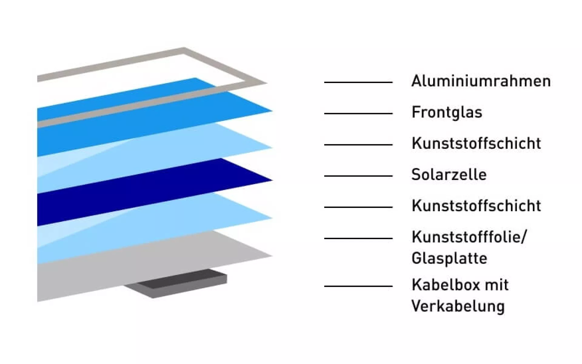 Solarmodul: Aufbau, Funktionsweise und Modul-Arten | SENEC