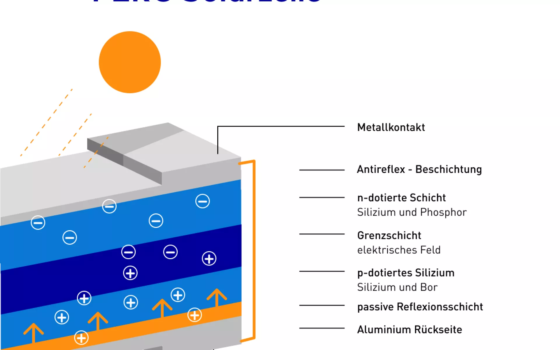 PERC-Zellen: Was können sie und lohnen sie sich noch?